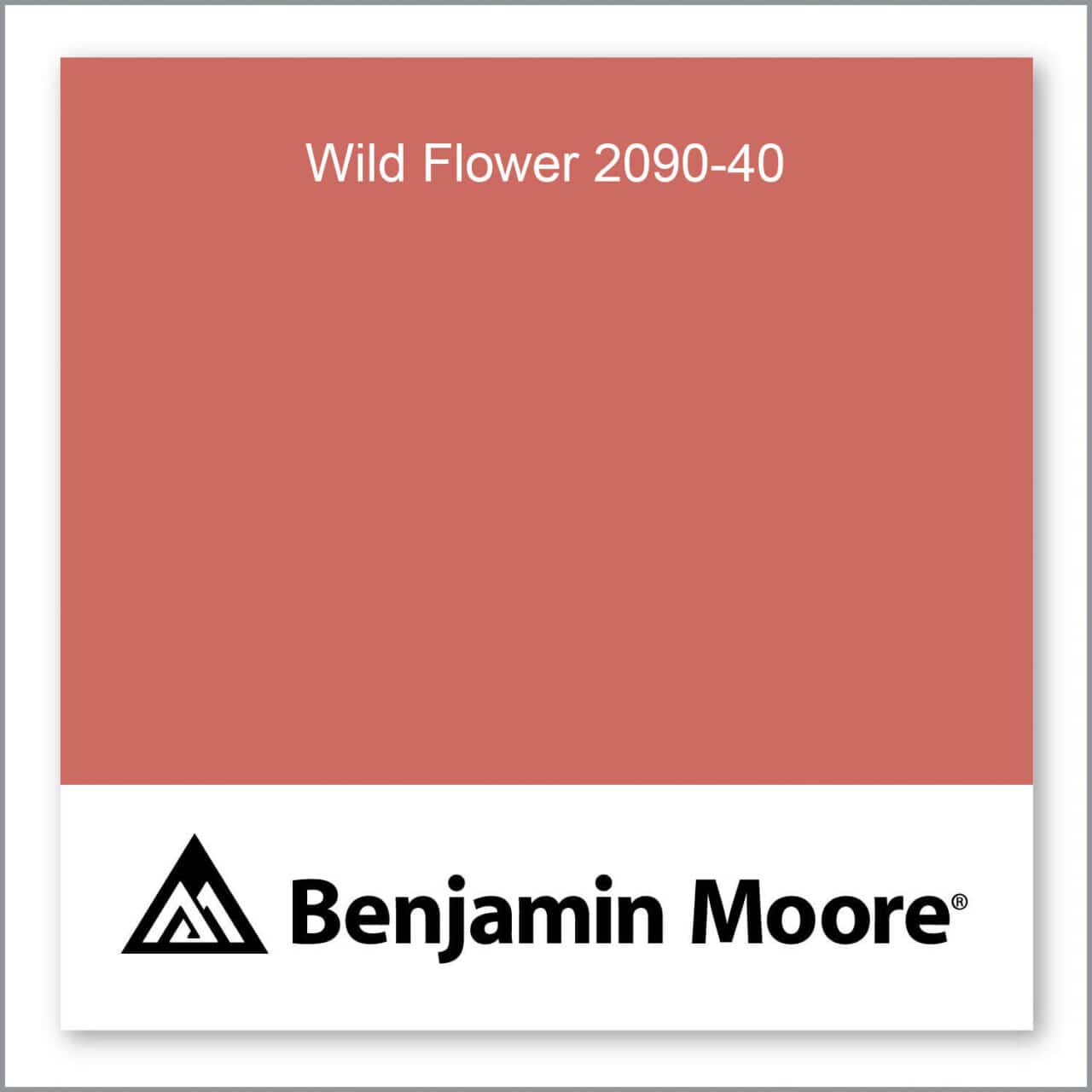 Paint | Rocky’s Ace Hardware